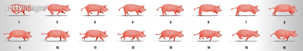 Pig run cycle animation frames, loop animation sequence sprite sheet (1209936979) - 게티이미지뱅크