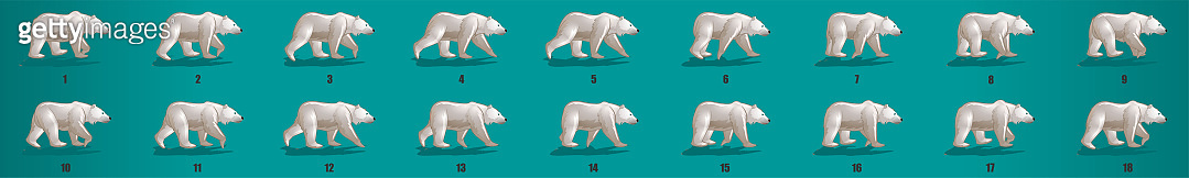 Polar Bear walk cycle animation frames, loop animation sequence sprite sheet (1209936945) - 게티이미지뱅크