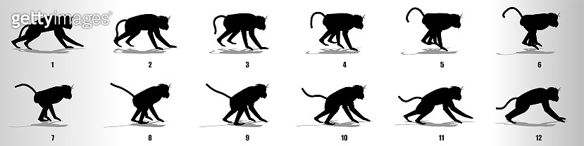 Monkey run cycle animation frames silhouette, loop animation sequence ...