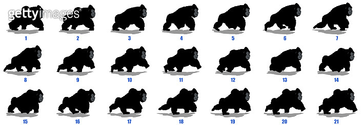 Gorilla walk cycle animation frames silhouette, loop animation sequence sprite sheet (1209936661 ...