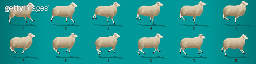 Sheep running animation sequence, loop animation sprite sheet ...