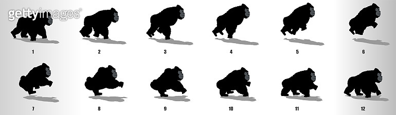Gorilla Run cycle animation frames silhouette, loop animation sequence sprite sheet (1209936384 ...