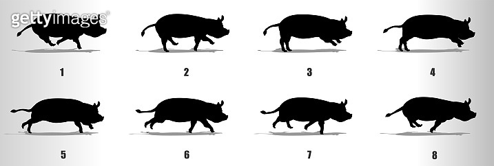 Pig run cycle animation frames silhouette, loop animation sequence sprite sheet (1209935707 ...