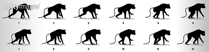 Monkey walk cycle animation frames silhouette, loop animation sequence sprite sheet (1209934642 ...