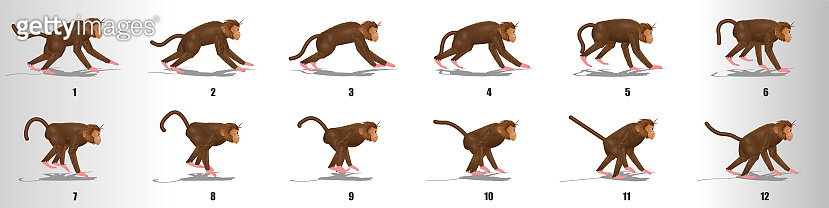 Monkey run cycle animation frames, loop animation sequence sprite sheet ...