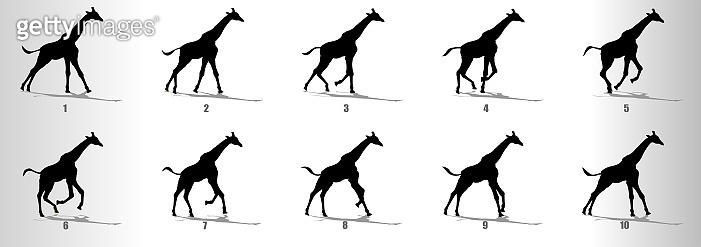 Giraffe Run cycle animation frames silhouette, loop animation sequence sprite sheet (1209934508 ...