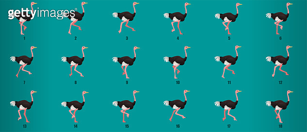 Ostrich Run Cycle animation sequence, loop animation sprite sheet ...