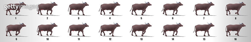 Buffalo Walk cycle animation frames, loop animation sequence sprite sheet (1209933528) - 게티이미지뱅크