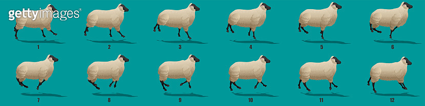 Black Sheep animation sequence, loop animation sprite sheet (1209933485 ...