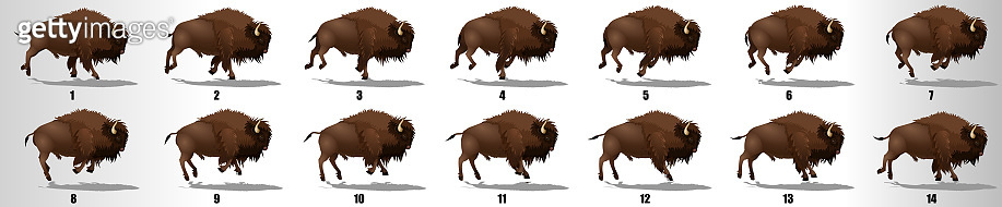 Bison Run cycle animation frames, loop animation sequence sprite sheet ...