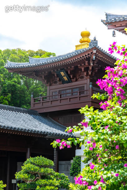 Chi lin Nunnery, Tang dynasty style temple, Hong Kong, China 이미지 ...