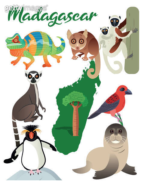 Madagascar Animals Map, MADAGASCAR ANIMALS, Madagascar Fody ...