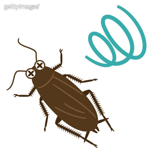Illustration of a dying cockroach (1255350739) 일러스트, 무료 일러스트 - 게티이미지뱅크