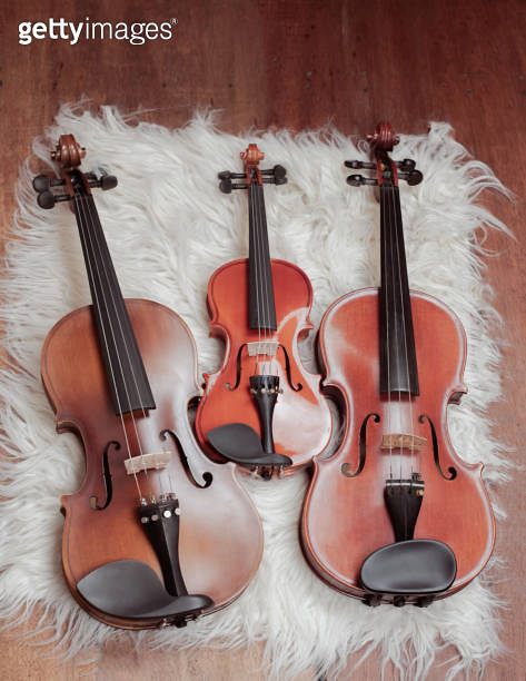 Three violins put on background,show detail and different size of ...