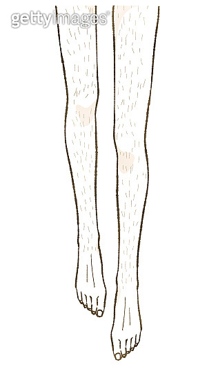 Female legs with shin hair 이미지 (1266361328) - 게티이미지뱅크