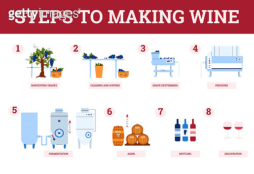Vector banner with infographics and text of wine making process steps ...