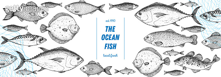 Fish sketch collection. Hand drawn vector illustration. Seafood frame ...