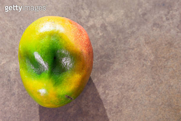 Fashion ugly organic mango. Deformed with a damaged, ugly skin ...