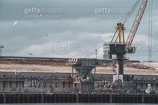 Crane, hopper, warehouse and seabirds by a commercial dock (1251213427 ...