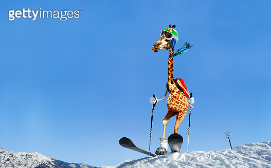 Happy giraffe wear ski stand on top of a mountain (1210297509) - 게티이미지뱅크