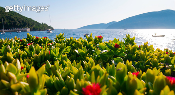 An idyllic picture of a seaside resort - Adriatic Sea, Rose Village ...