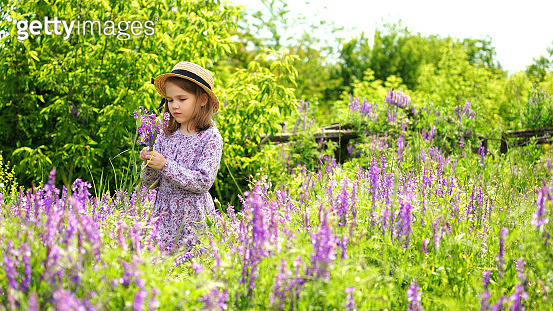 little girl in hat picking a bouquet of wildflowers in a meadow. 이미지 ...