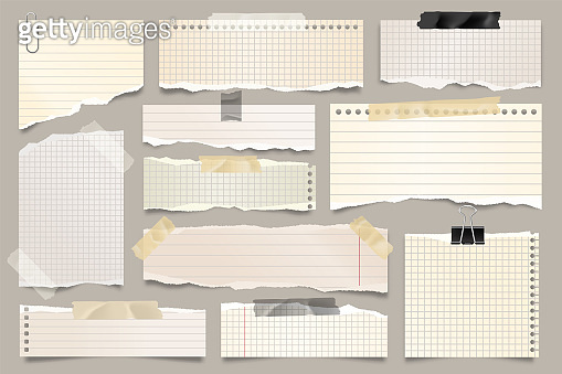 Colored ripped lined paper strips collection. Realistic paper scraps ...
