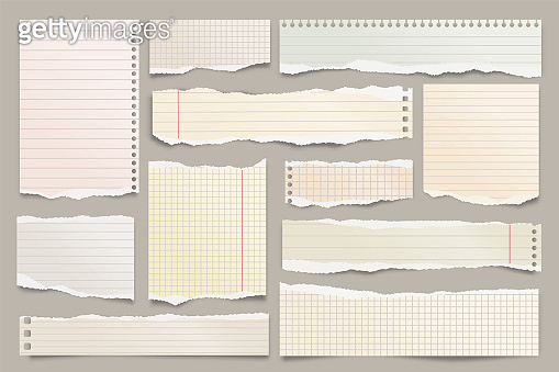 Colored ripped lined paper strips collection. Realistic paper scraps ...