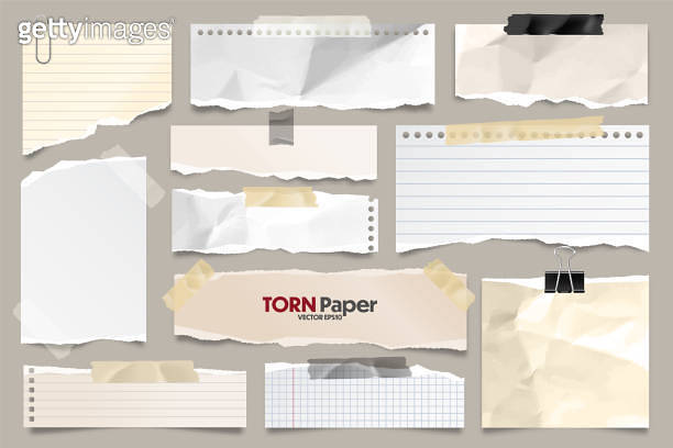 Colored ripped lined paper strips collection. Realistic paper scraps ...