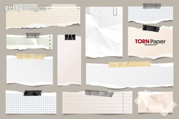 Colored ripped lined paper strips collection. Realistic paper scraps ...