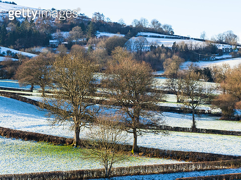 Bare trees, snow and green grass on colourful Shropshire Hills, near ...
