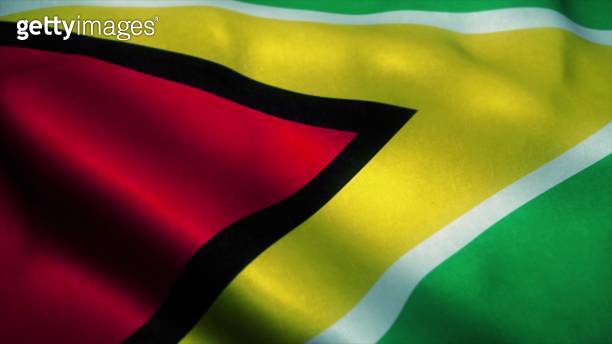 Guyana flag waving in the wind. National flag of Guyana. Sign of Guyana. 3d illustration 이미지 ...