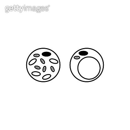 Brown Beige And White Fat Cells icon 이미지 (1220358988) - 게티이미지뱅크