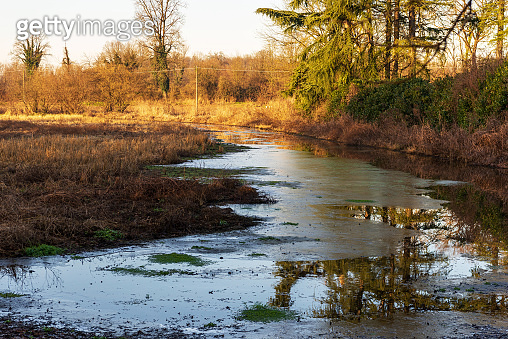winter landscape inside the Ticino river national park, Besate, Milan ...