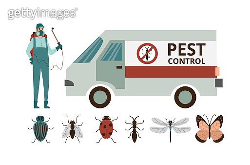 Pest control set with worker and insects, flat vector illustration ...