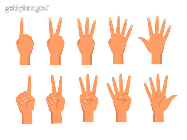 Set of vector hands showing fingers. Front and back view of palm with ...