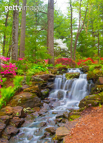 Beautiful Waterfall & Spring Flowers--Gibson County Indiana 이미지 ...