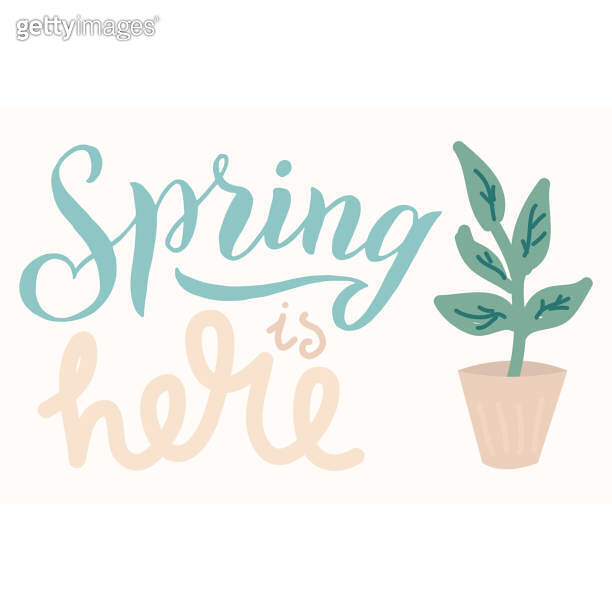 Spring is here lettering text illustration. Handwritten typography ...