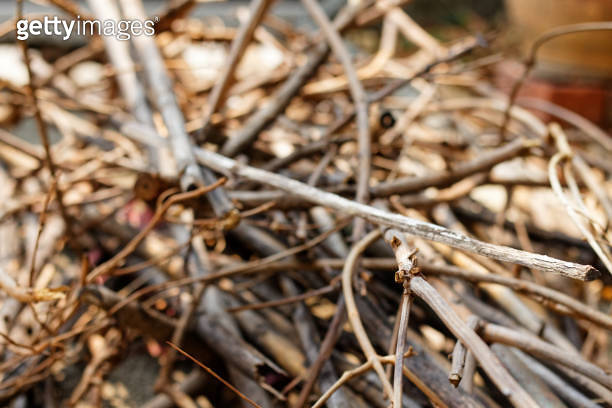Close up A pile of wood brown dry twigs in random order. shallow depth ...