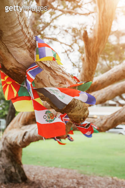 Flags of different countries in the tree. Multicultural network ...