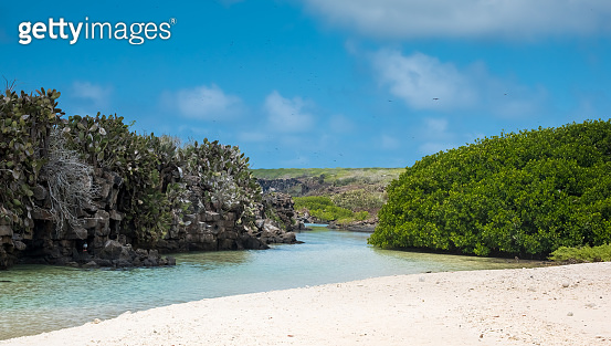 Remote sandy beaches on Genovesa Island, Galapagos Islands, Ecuador ...