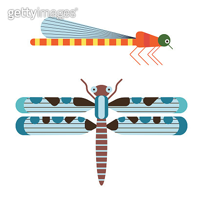Dragonflies Icon in Geometric Flat Style 이미지 (1292854148) - 게티이미지뱅크