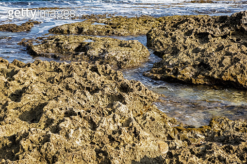 Unnamed beach of volcanic rock on the coast of Taiwan 이미지 (1279173265 ...