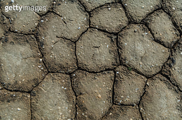 Patterned Ground, Arctic Tundra, Regular polygonal patterns, Somerset ...