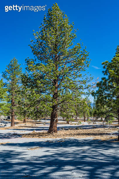 The Mono–Inyo Craters are a volcanic chain of craters, domes and lava ...
