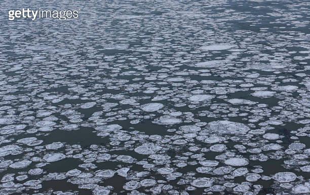 Pancake ice is a form of sea ice that consists of round pieces of ice ...