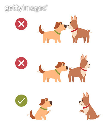 Dogs also keep a social distance. Animals observe safety precautions ...
