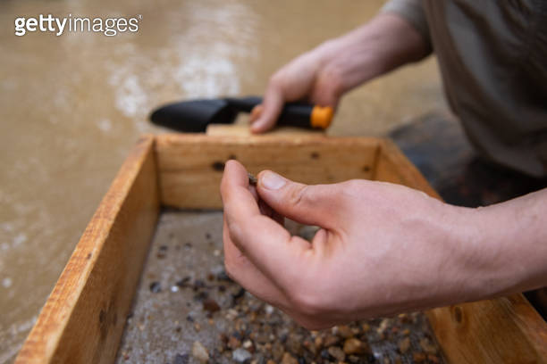 Hands of Caucasian Man Sifting Through Rocks in a Sieve in a North ...