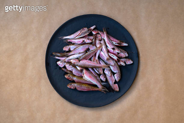 Red Mullet fish on yellow package paper. 이미지 (1201021782) - 게티이미지뱅크