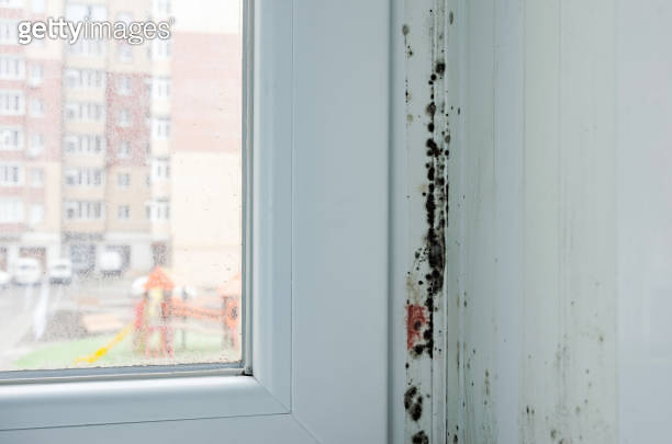 Black mould and fungus on corner wall near PVC window. The problem of ...